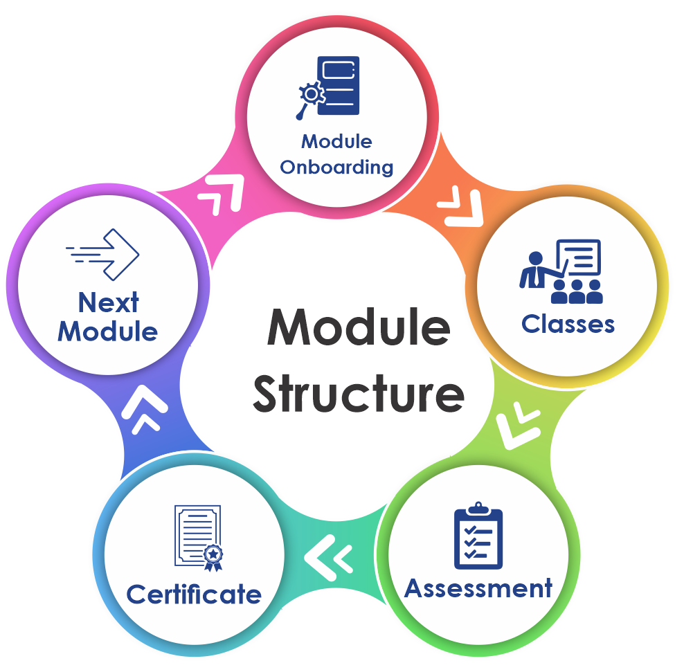 STEM Education Curriculum for Kids from Grade 3 to 10